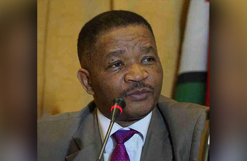 Zimbabwe loses 4th cabinet minister to covid-19 - The African Mirror