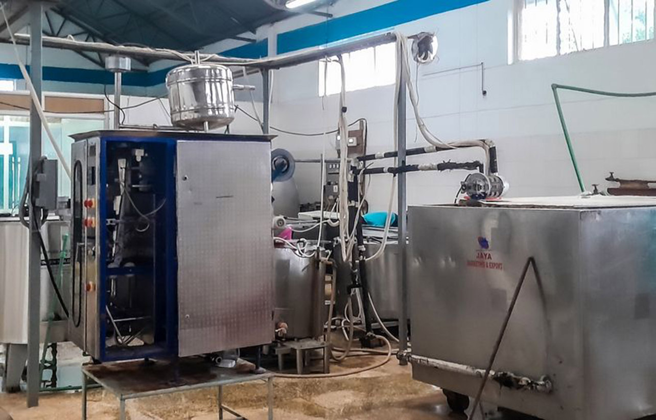 The college making millions through dairy farming, thanks to ...